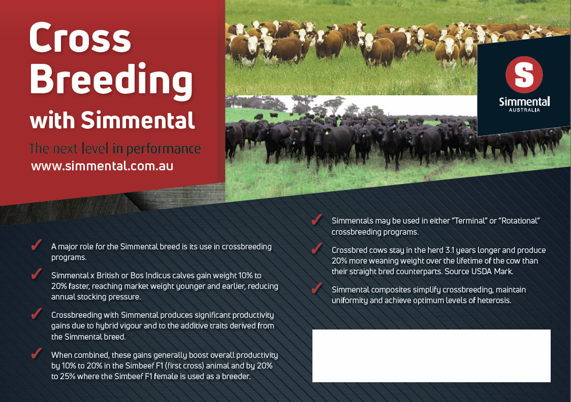 Cross Breeding editable | Simmental Australia