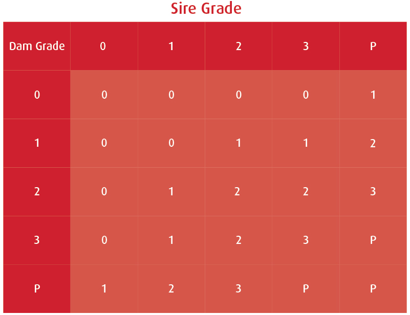 SireGrade | Simmental Australia