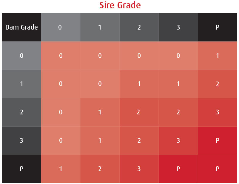 SireGrade | Simmental Australia