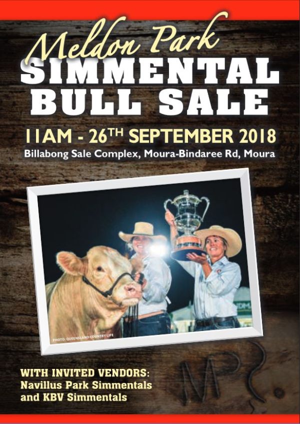Meldon Park | Simmental Australia