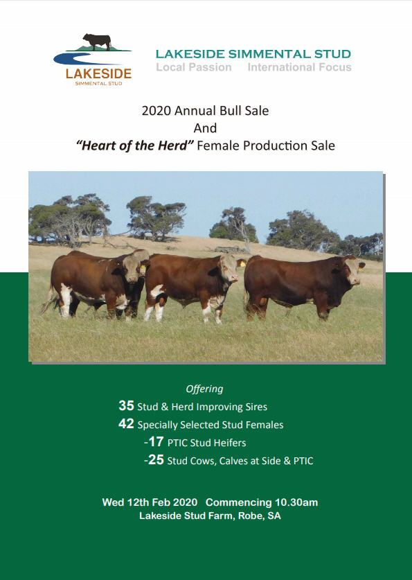 Lakeside cover | Simmental Australia