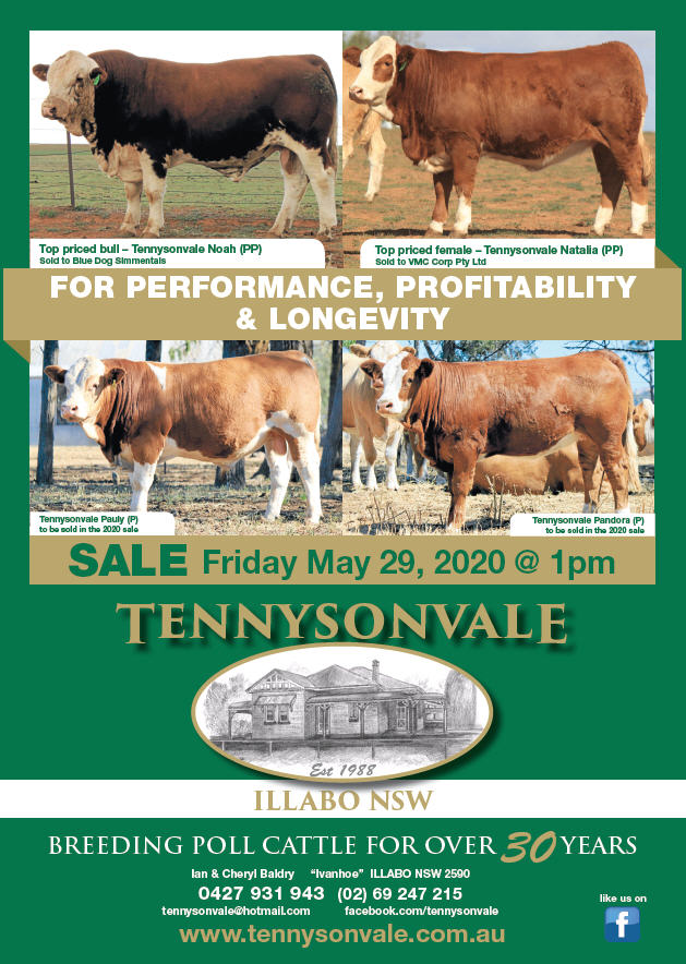 Tennysonvale Annual Simmental Sale | Simmental Australia