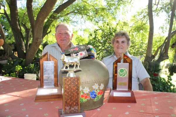 Vale, Doreen Muriel NAUSCHUTZ | Simmental Australia