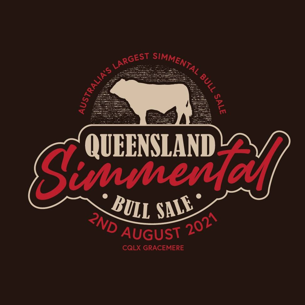 Simmental qld bull sale | Simmental Australia