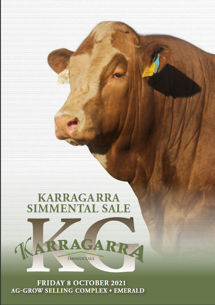 Karragarra 2nd Annual Bull Sale | Simmental Australia