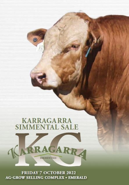 Karragarra Simmental Bull Sale | Simmental Australia