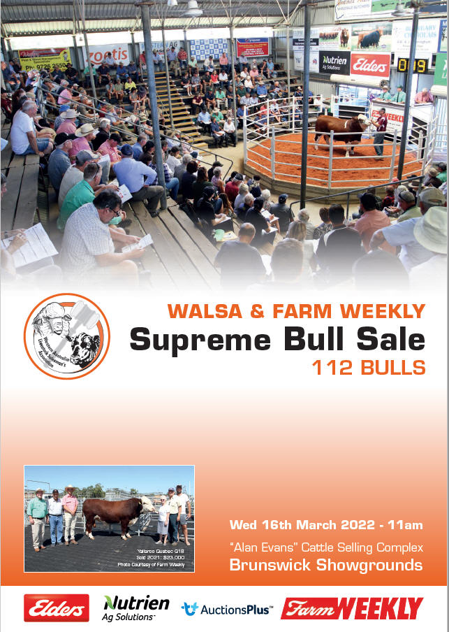 WALSA 2022 cover | Simmental Australia