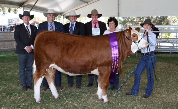 2022 PERTH ROYAL SHOW | Simmental Australia
