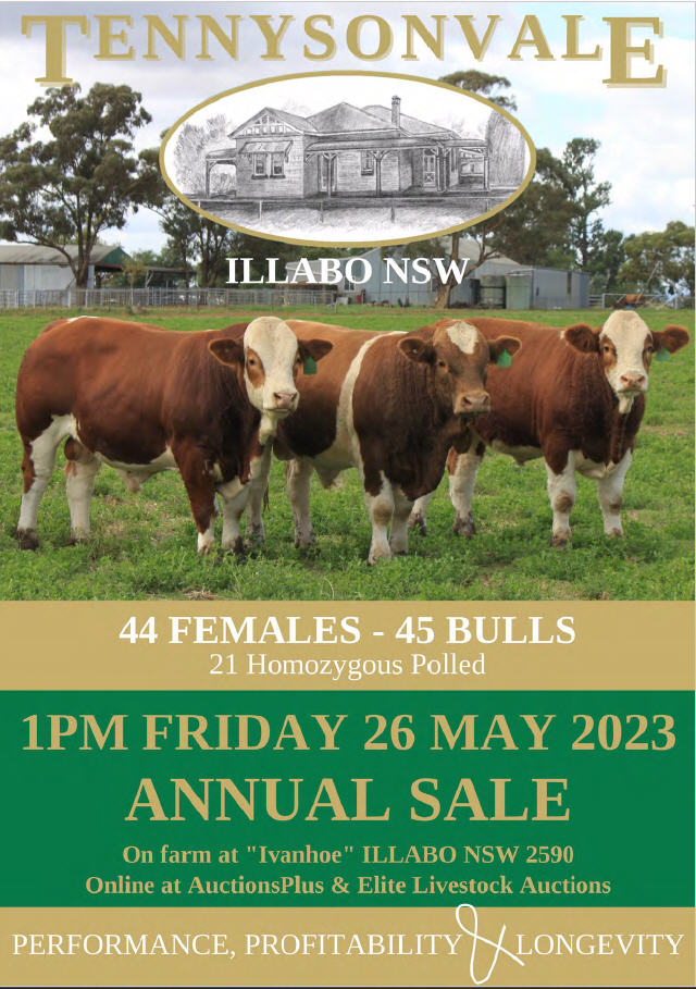 Tennysonvale Annual Simmental Sale | Simmental Australia
