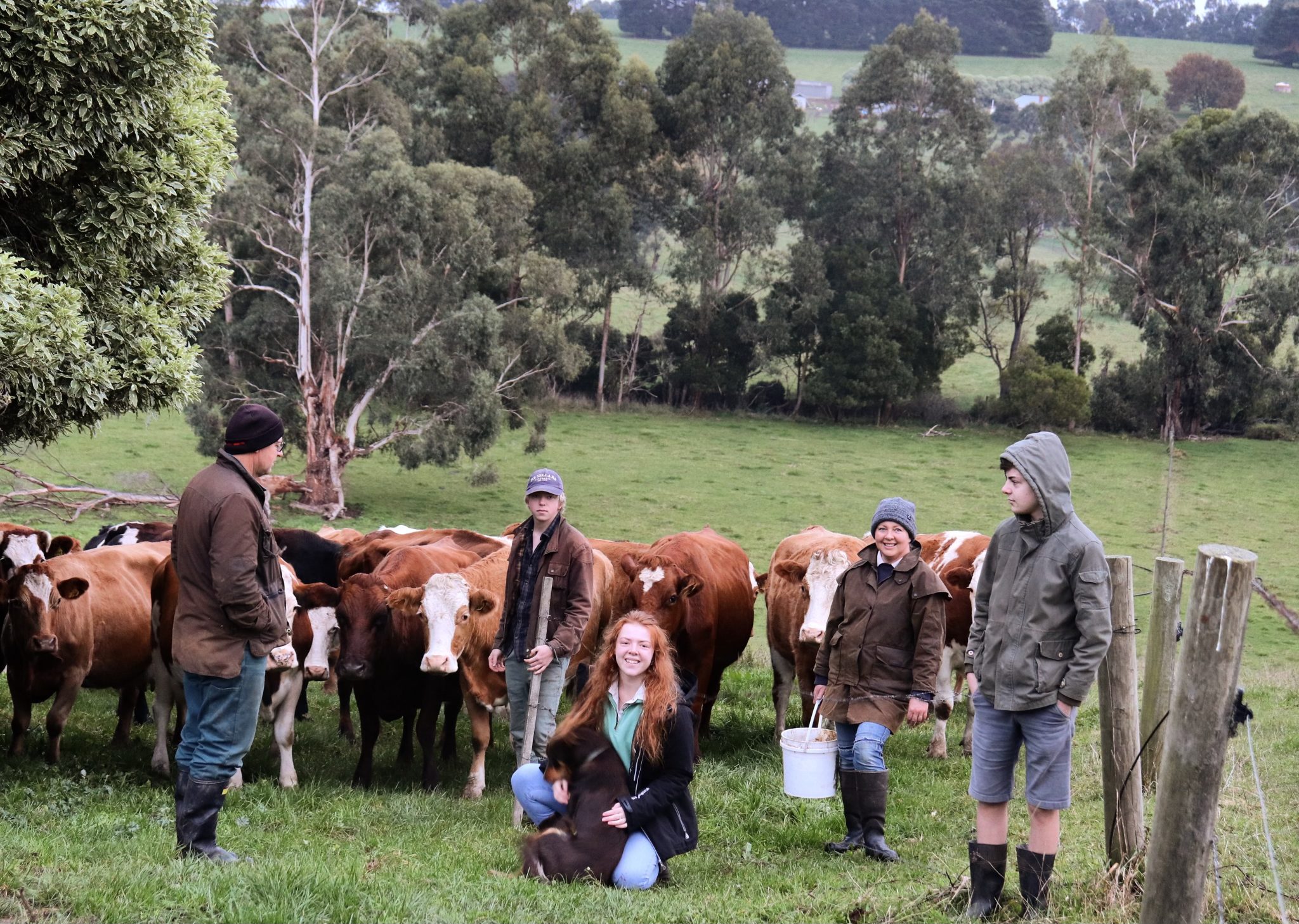 Cheesemaker uses Fleckvieh milk to establish her burgeoning business ...