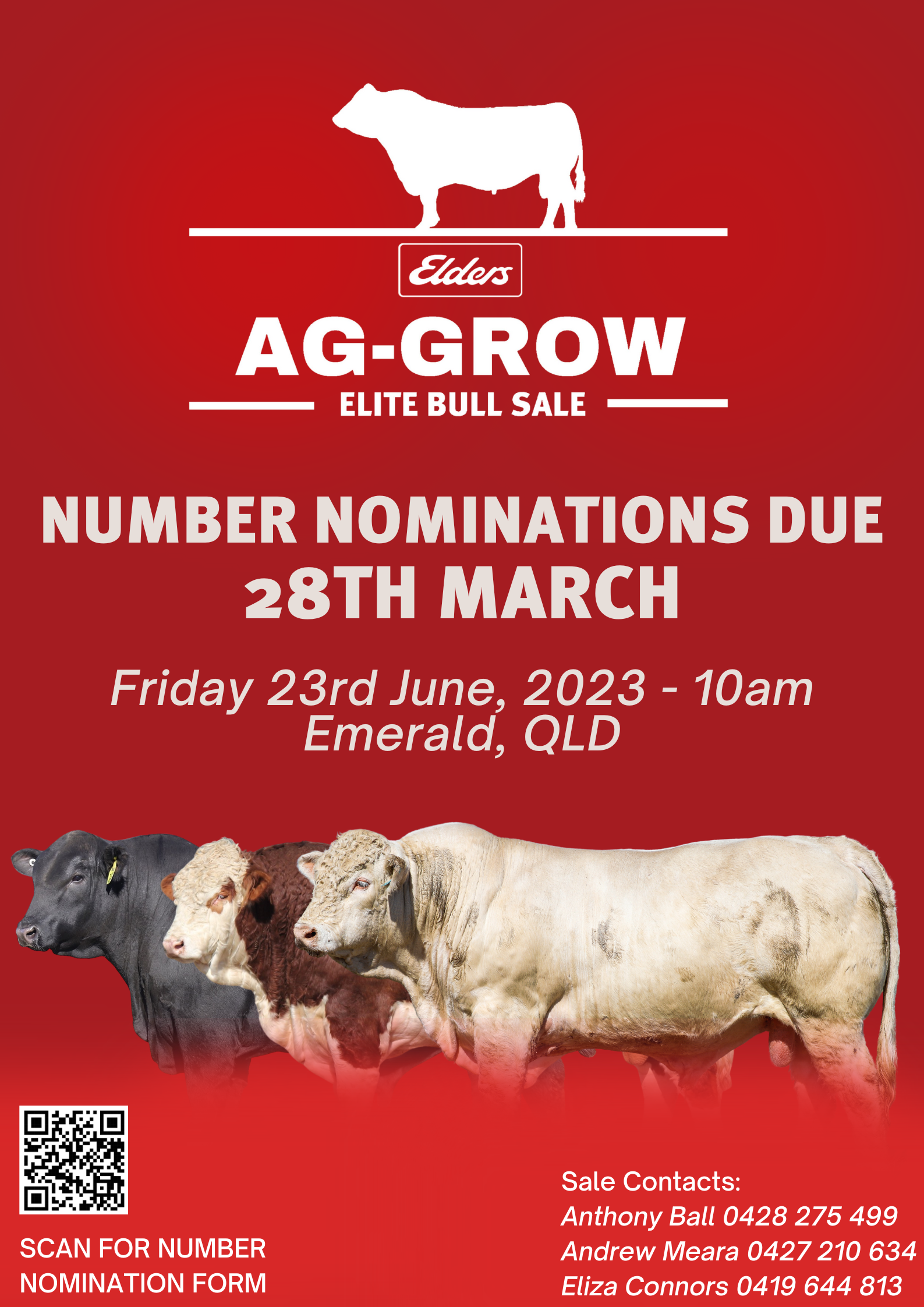Ag-Grow Elite Bull Sale 2023 | Simmental Australia