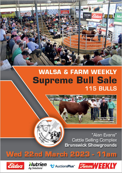 WALSA catalogue cover | Simmental Australia