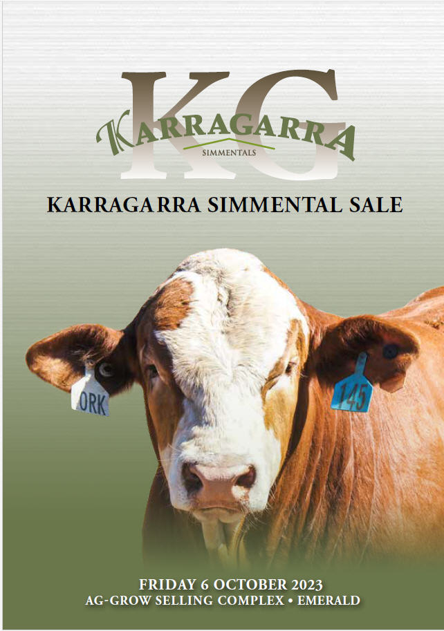 Karragarra Simmental Sale | Simmental Australia