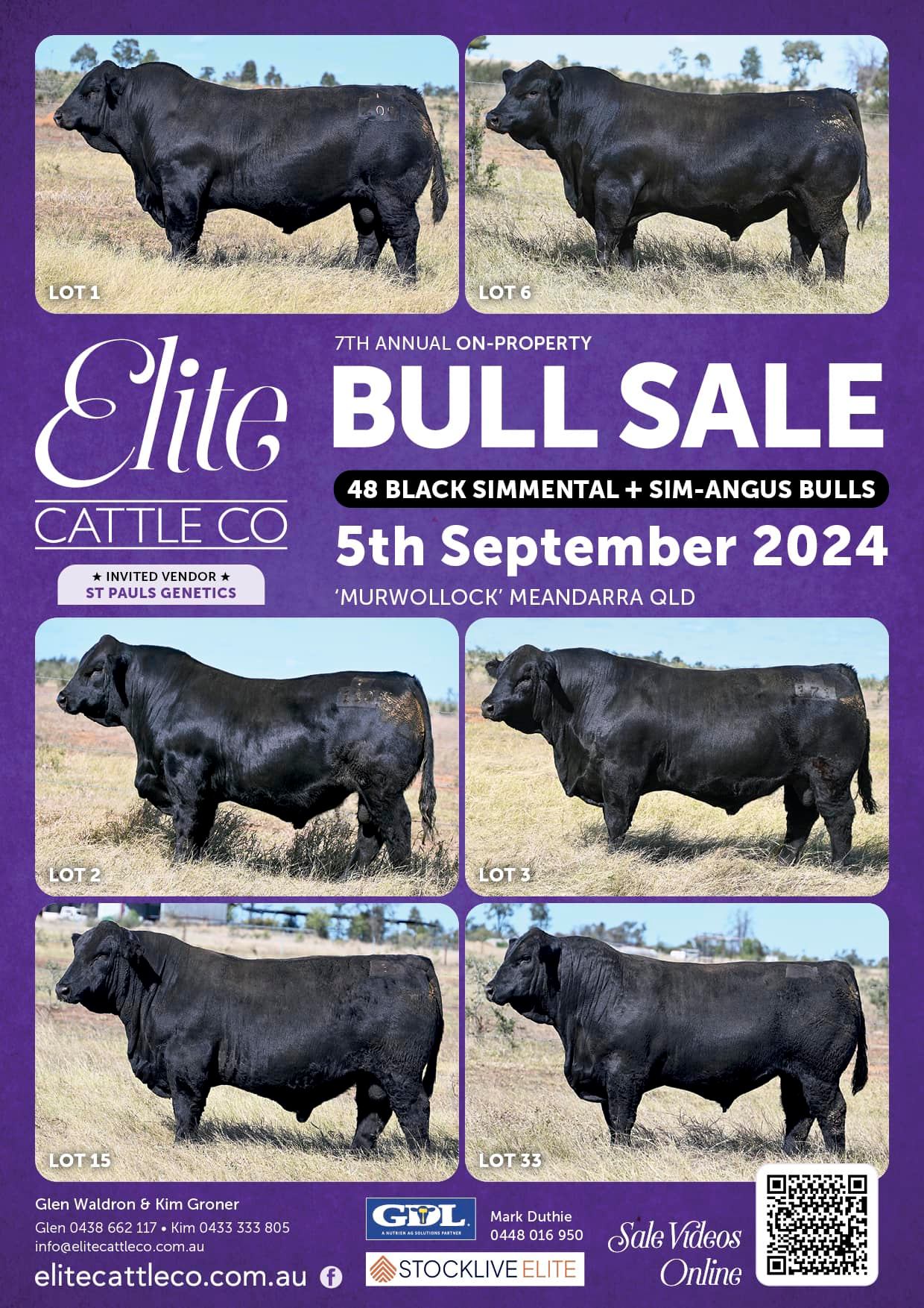 Elite flyer | Simmental Australia