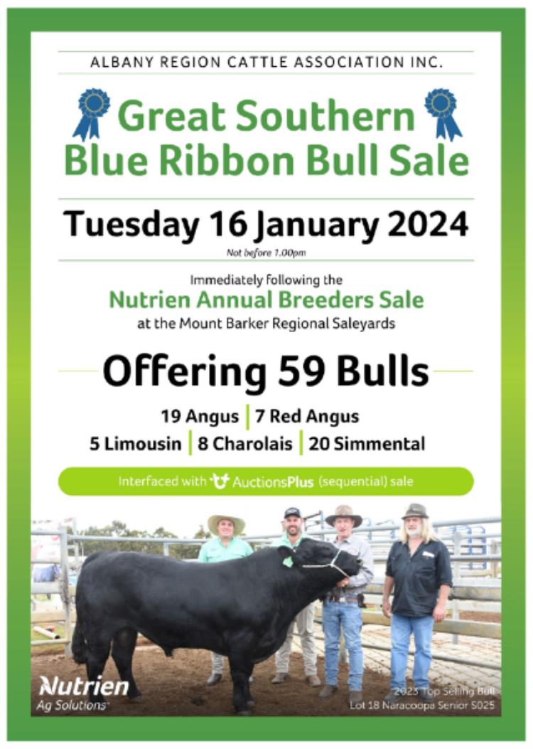 Great Southern Blue Ribbon Bull Sale | Simmental Australia