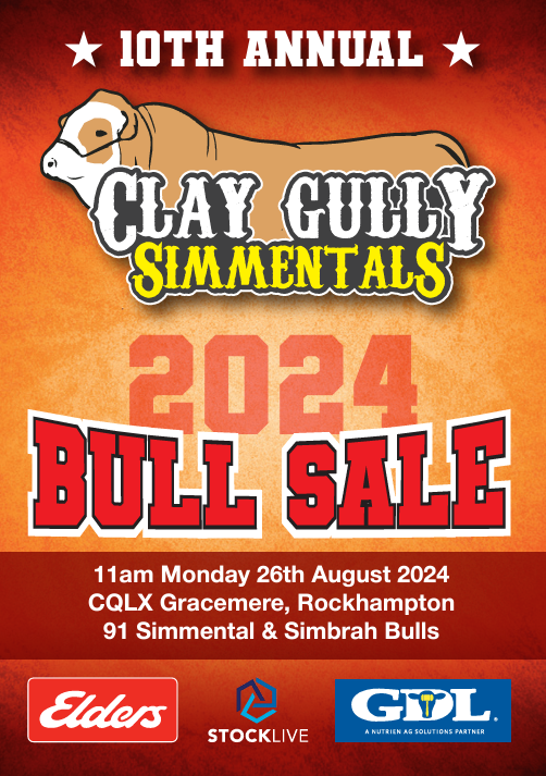 Clay Gully Simmental Bull Sale | Simmental Australia