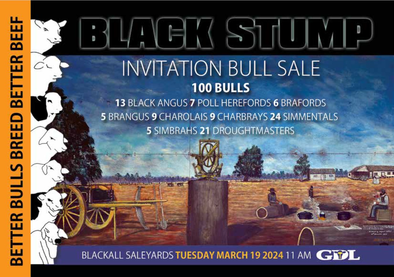 Black Stump Invitational Sale | Simmental Australia