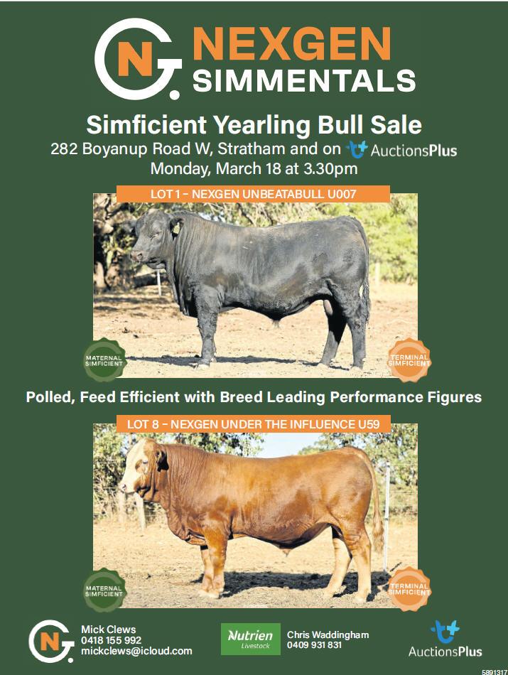 NGS 2024 flyer | Simmental Australia