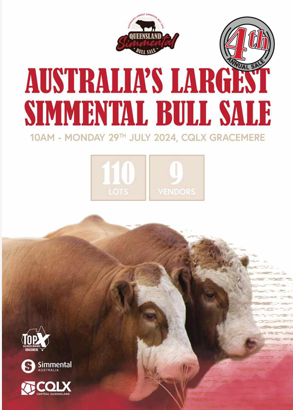 Queensland Simmental Bull Sale | Simmental Australia