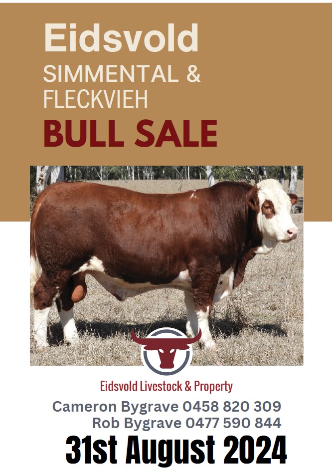 Eidsvold Sale Flyer | Simmental Australia