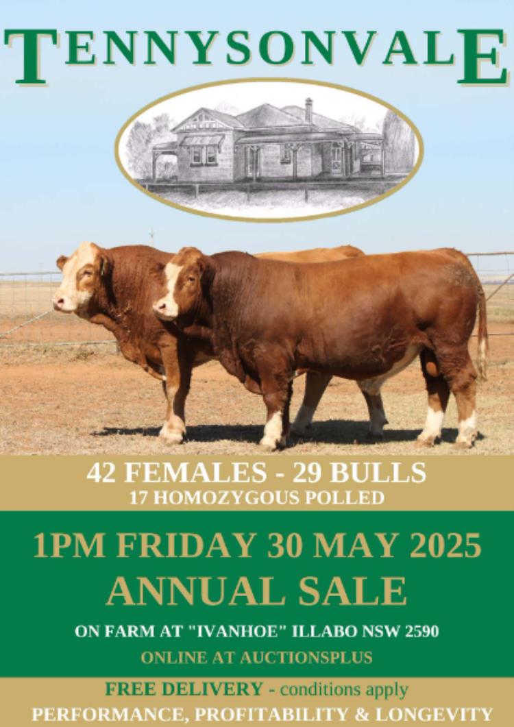Tennysonvale Simmental Fleckvieh Annual Sale | Simmental Australia